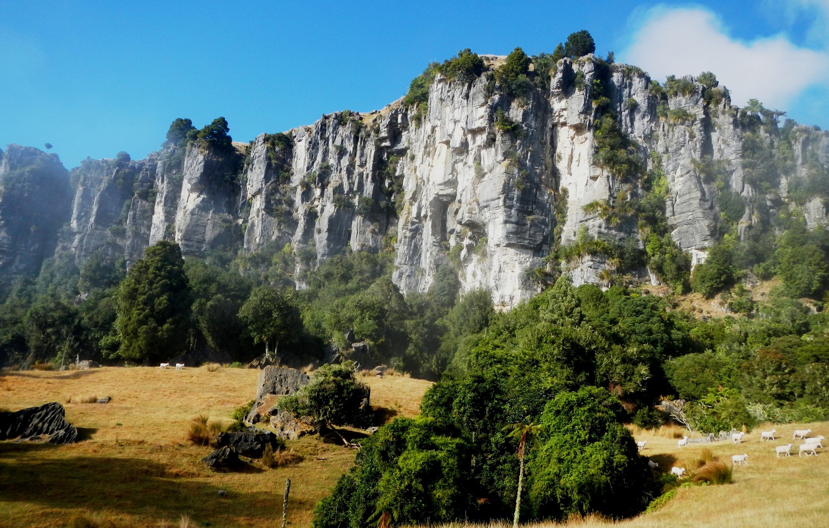 Local Cafés and Restaurants | Waitomo Boutique Lodge
